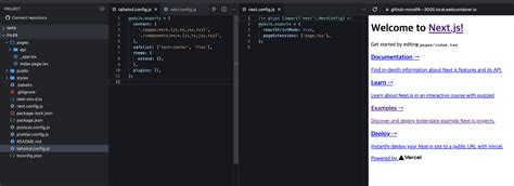 Nextjs Custom Pageextension Makes No Classname Generation By Both