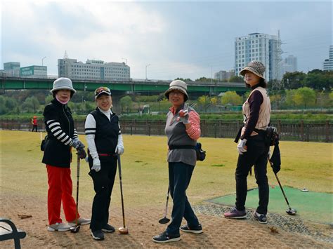 Daum 카페