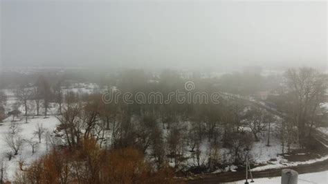 A Small Forest Trees Mixed With Houses In The Fog Aerial Stock Video