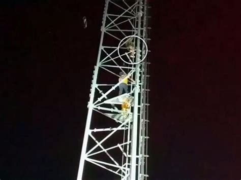 Woman Climbs Signal Pole In Desperation Over Money Woes Thaiger