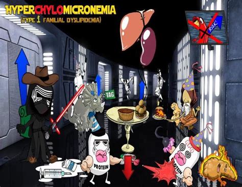 Dyslipidemias Pathology Review Video Causes And Meaning Osmosis