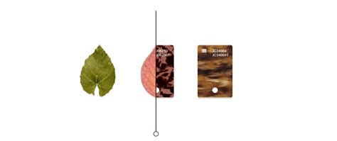 Bio Acetate Eco Friendly Eyewear Future