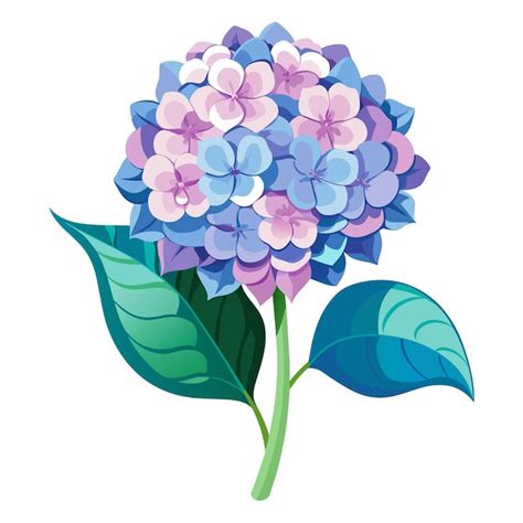 Page 5 Single Stem Hydrangea Vectors And Illustrations For Free Download