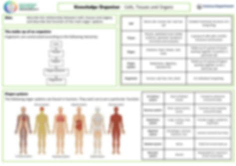 Solution Cells Tissues And Organs Knowledge Organiser Cambridge