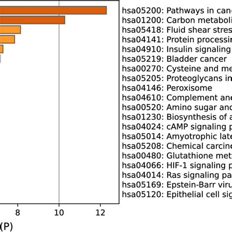 Enrichment Analysis Of Kegg Pathways For The Target Proteins Of Grr Download Scientific Diagram
