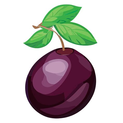 Jamun Fruit Png