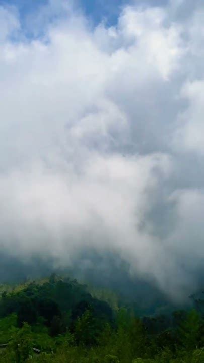 Iphone 11 Pro Sample Video Test 60fps Iphone Nature Youtube