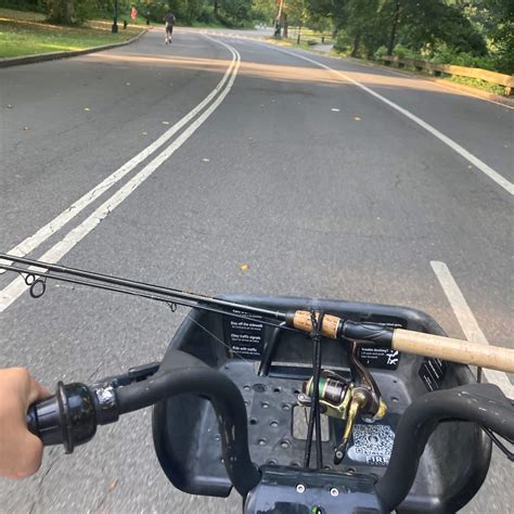 Strong College Essay Example An Nyu Worthy Citi Bike Tale