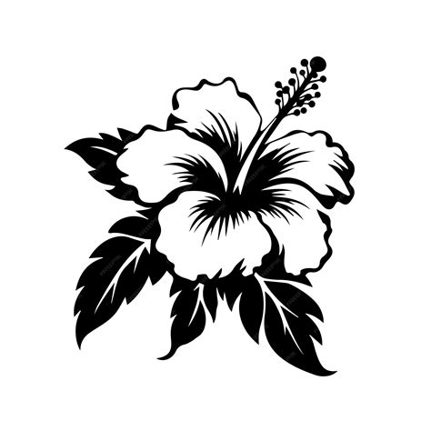 Premium Vector Hibiscus Black And White Vector Template Set For