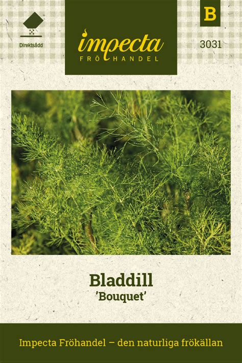 Bladdill Bouquet Fröer Kryddväxter Impecta Fröhandel
