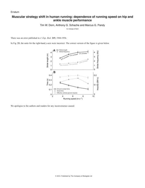 The 100m Sprint A Basic Needs Analysis Pptx
