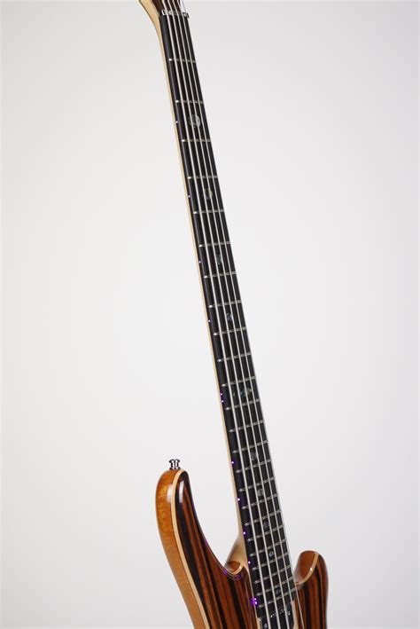 Alembic Essence Five String Bass — Northern Lights Music
