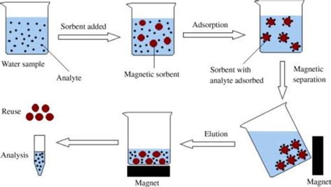 The Procedure Used For Functionalized Magnetic Solid Phase Extraction