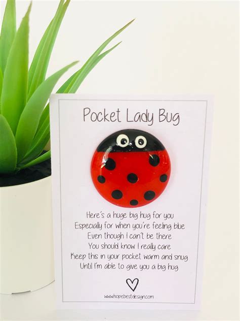 Ladybug Pocket Hug Hope Best Design