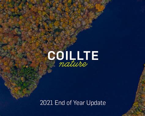 Fantastic Fungi Making Connections With Rhizocore Technologies Coillte