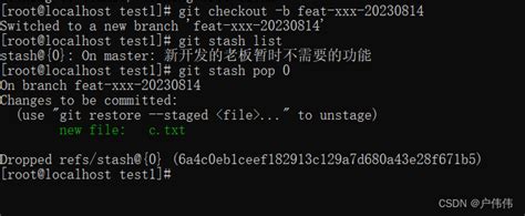 git的reset和rebase命令，最透彻、最详细、最简单的教程，学习完对reset和rebase清清楚楚明明白白 git reset