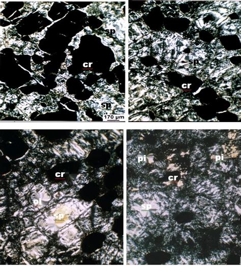 Chromite Cr And Serpentinised Sp Olivine Ol Grains Observed In Download Scientific