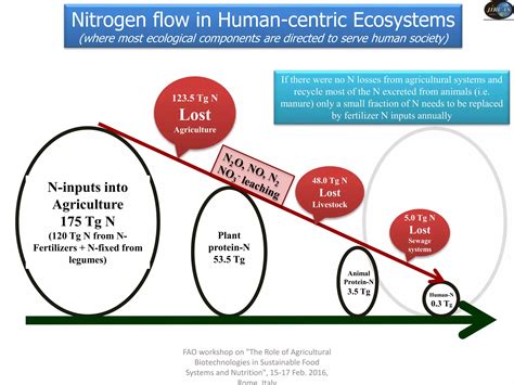 Biological Nitrification Inhibition Bni In Plants Implications For