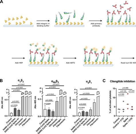 Interaction Of Integrin Receptors With Sars Cov 2 S Protein And Various