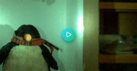 Important Scientific Experiment Album On Imgur