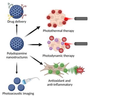 The Potential Of Polydopamine Smart Bio Interfaces