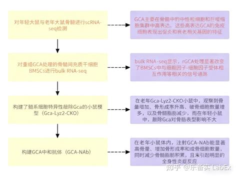 Bulk Rna Seq与单细胞转录组测序整合应用 知乎