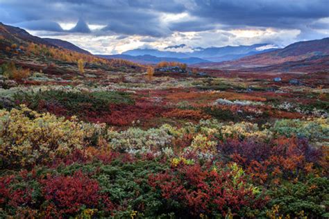10 Lugares Que Te Enamorarán De Suecia Mi Viaje
