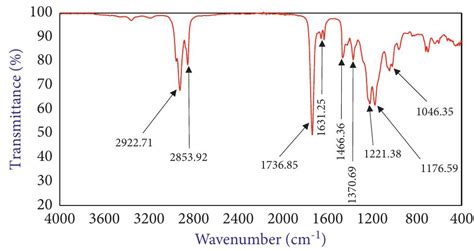 Ftir Spectrum Of Fraction C From The Methanol Extract Of V