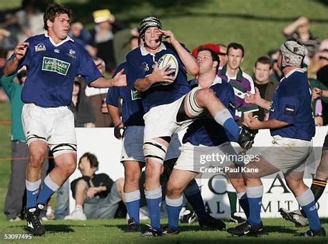 Queensland Country Heelers Photos And Premium High Res Pictures Getty Images