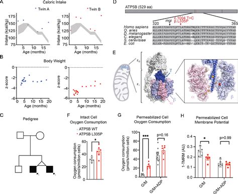 [pdf] Congenital Hypermetabolism And Uncoupled Oxidative Phosphorylation Semantic Scholar