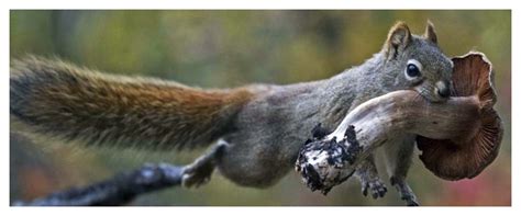 Recent Photos｜time Traveller