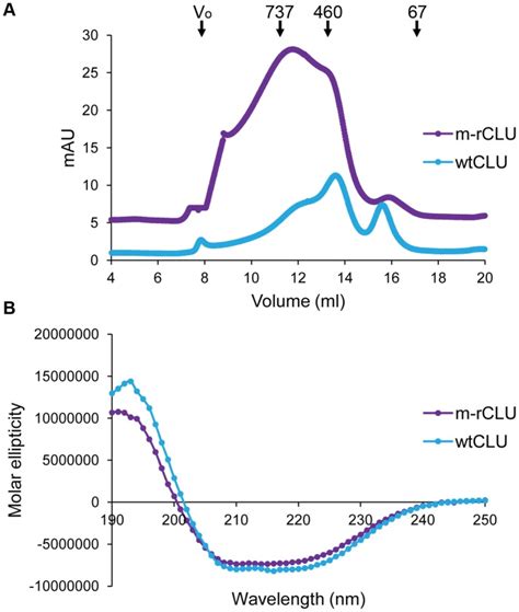 A The Superose™6 10300 Column And Samples Were In Pbsaz Prior To