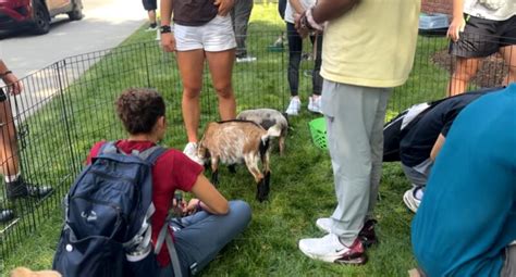 Pictures From A Month Into Classes Mit Admissions