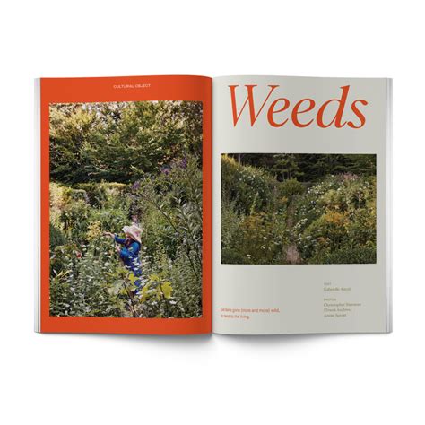 beside magazine issue 10 our transformations beside magazine