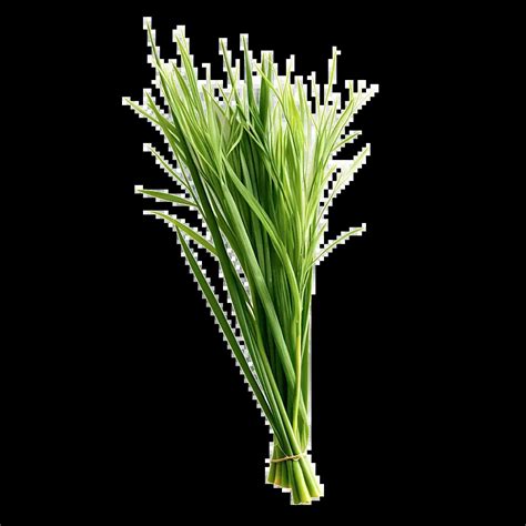 Hierba Luisa Atado Mercafresh