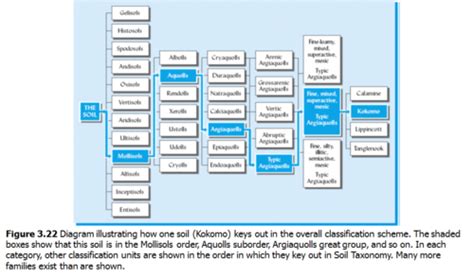 Soil Classification Flashcards Quizlet