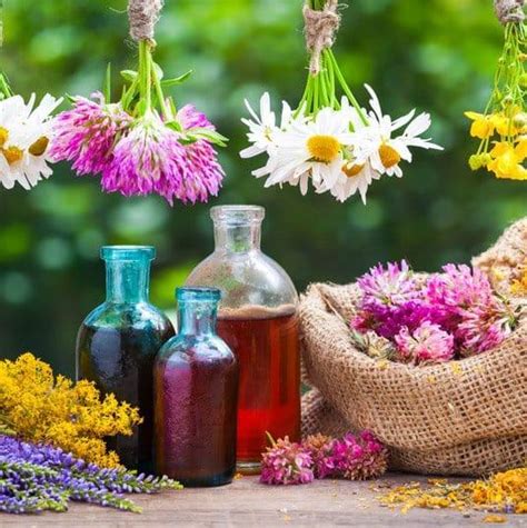 Flores De Bach Phoenix Az