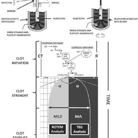 Overview Of Teg And Tegpm A Standard Teg Parameters Enzymatic Time