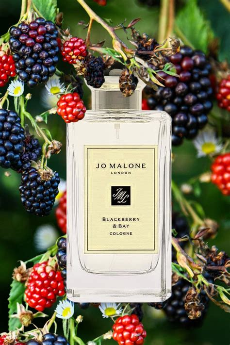 Jo Malone Blackberry And Bay Cologne Spray For Women 3 4 Ounce Jo
