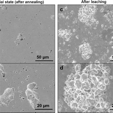 Solubility Diagrams Of Uranium Plutonium And Americium As A Function