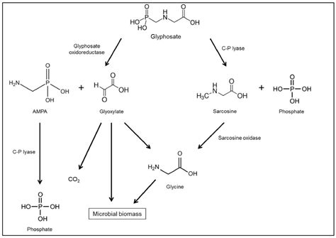 How To Mix Glyphosate Herbicide At Bryan Riggs Blog