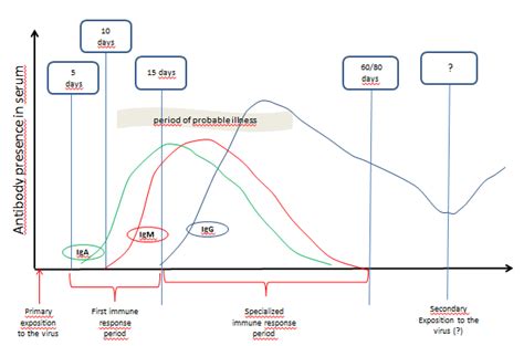 Diagramma Semplice Del Virus