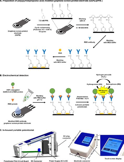 Schematic Illustration Of The Immunosensor Coupled With The In House