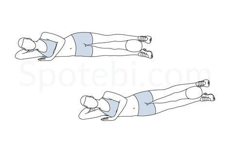 Inner Thigh Squeeze And Lift Illustrated Exercise Guide