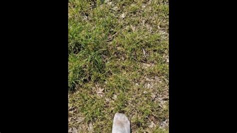 Lets Make My White Socks Very Dirty Together You Will Love Ot Very Much
