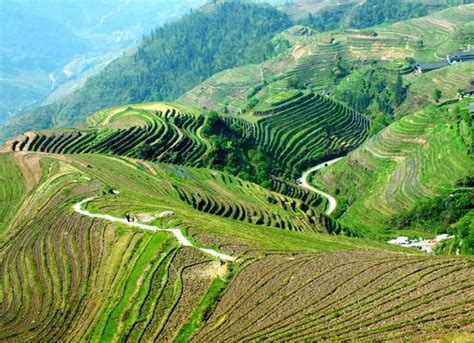 Pingan Village And Da Village Longji Longsheng Guilin