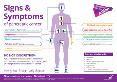 Early Diagnosis Of Pancreatic Cancer Swag Cancer Alliance