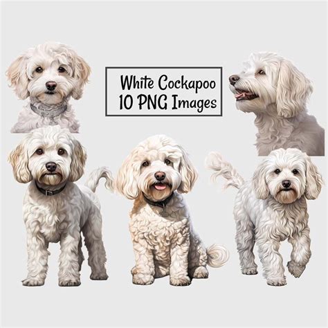 White Cockapoo Printable Digital Downloads 10 Sublimation Dog Bundle