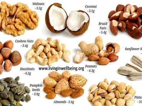 Fiber Rich Foods