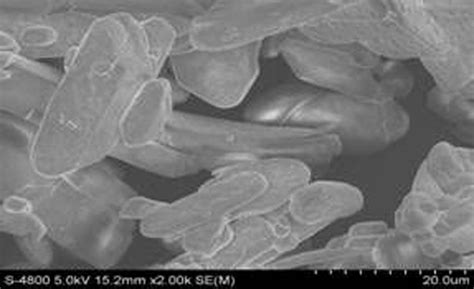 Times Of Calcium Hypophosphite Imaged Under The Figure 3 Times Of